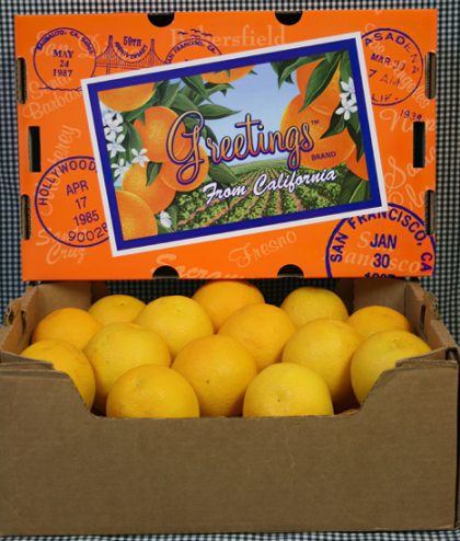 20lb. 28 count Navel Oranges